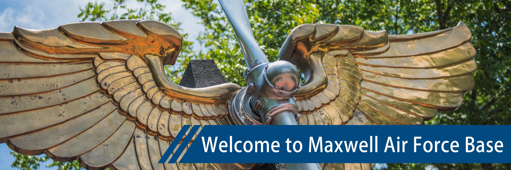 Newcomers information